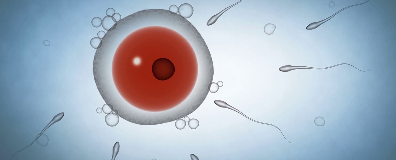 Why Are Millions Of Sperm Needed While Only One Will Fertilize The Egg